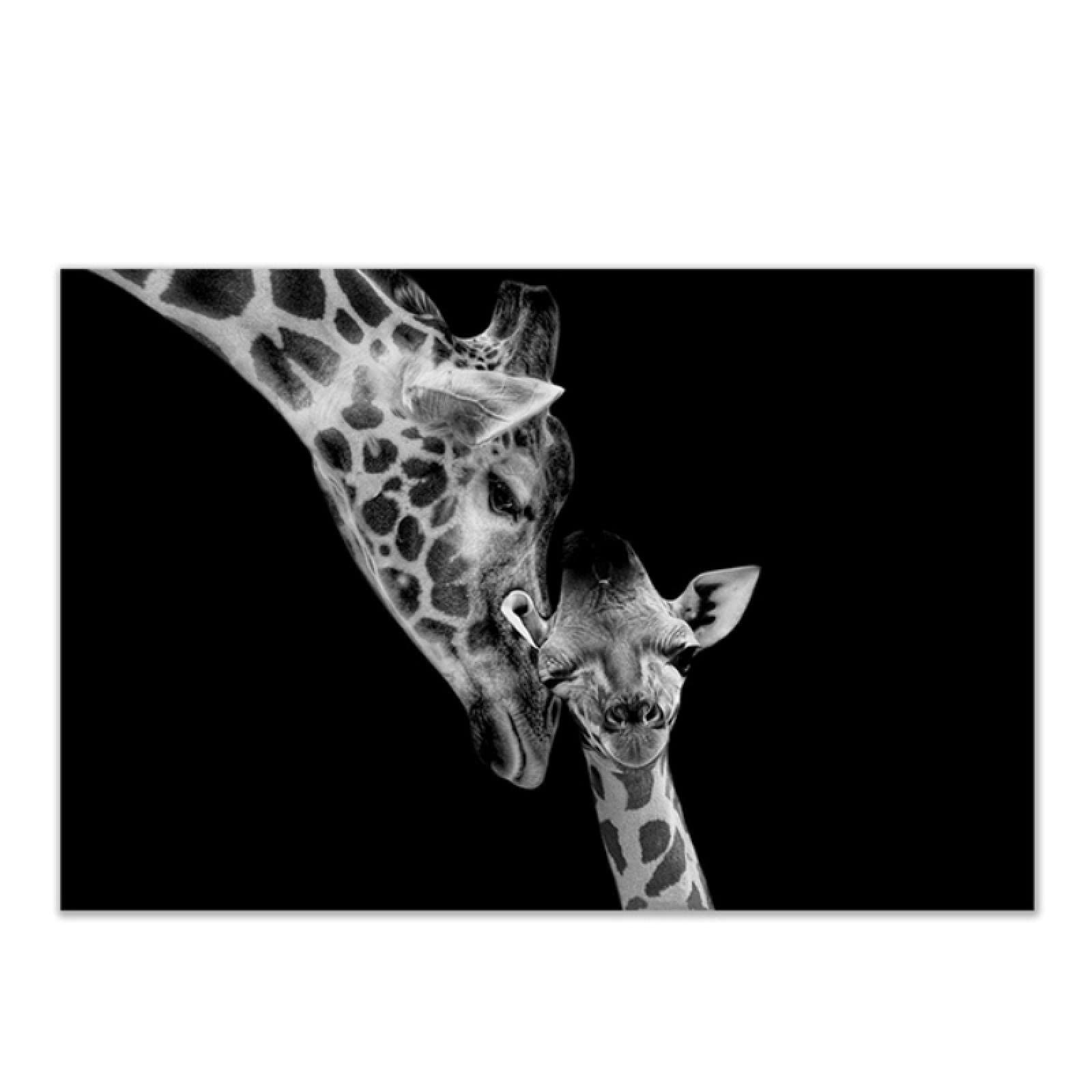 Black And White Giraffe Print Background