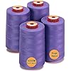Amazon.com: New brothread - 30 Options - 4 Large Cones of 5500Y (5000M ...
