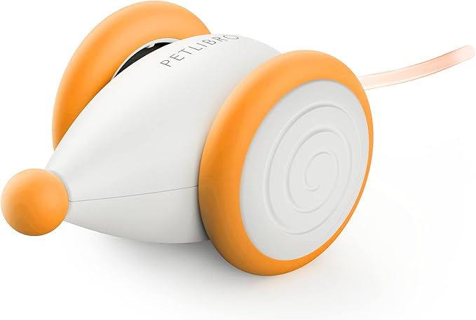 Amazon.com: PETLIBRO Interactive Cat Toys for Indoor Cats, Automatic ...