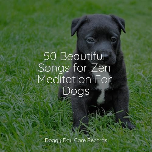 50 Beautiful Songs for Zen Meditation For Dogs : Music For Dogs Peace ...