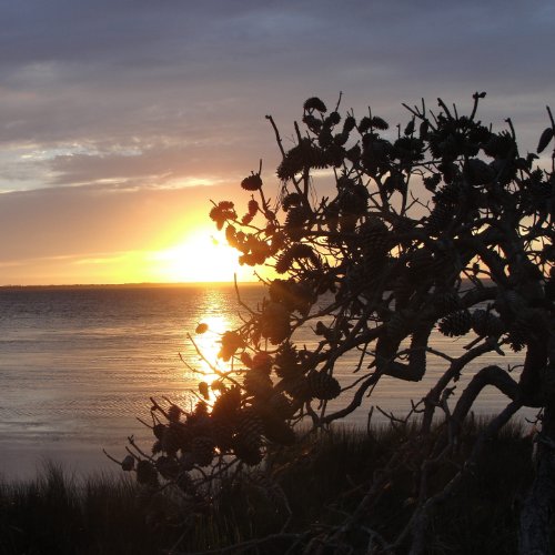 Play Those Days Are Gone by Barry Quiner on Amazon Music