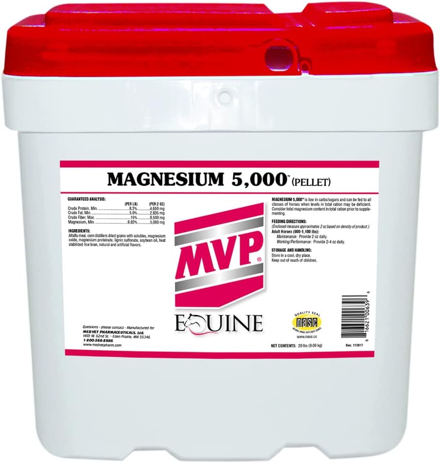 Amazon.com: Family Magnesium Pack : Health & Household