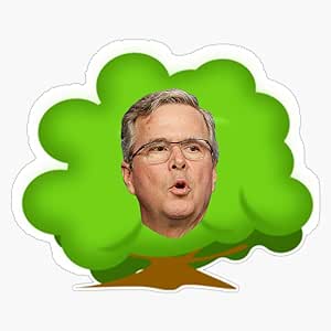 Amazon.com - Jeb Bush Sticker Vinyl Decal Bumper Sticker 5"