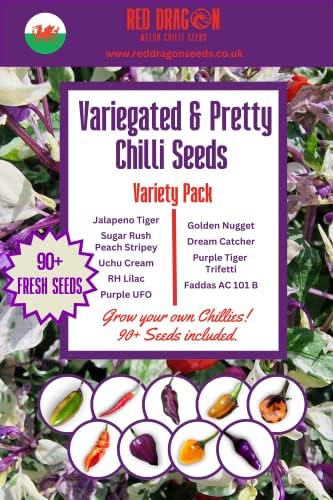 Chilli Seeds - Variety Pack - Beautiful, Variegated and Pretty Chilli ...