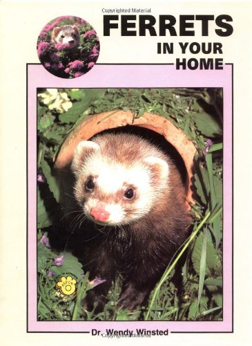 Ferrets in Your Home: Winsted, Wendy: 9780866229883: Amazon.com: Books