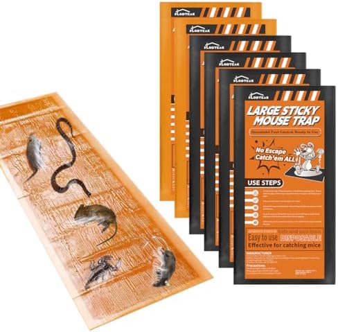 Amazon.com : FLODTEAK Sticky Mouse Traps Indoor for Home - Extra ...