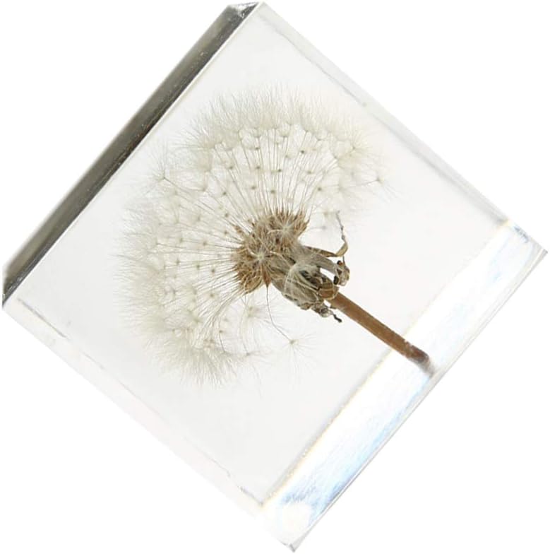 Amazon.com: Crystal Dandelion Ball Figurine Feng Shui Office Decorative ...