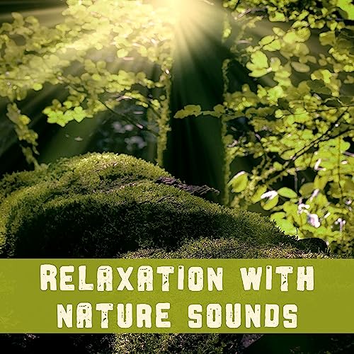 Amazon.com: Relaxation with Nature Sounds – Music to Relax, Rest a Bit ...