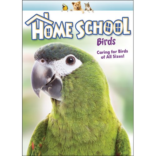 Amazon.com: Home School: Birds [DVD] : Instructional Guide, Pets on ...