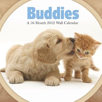 Amazon.com: Buddies 2012 Wall Calendar: 9781438812519: DateMaker ...