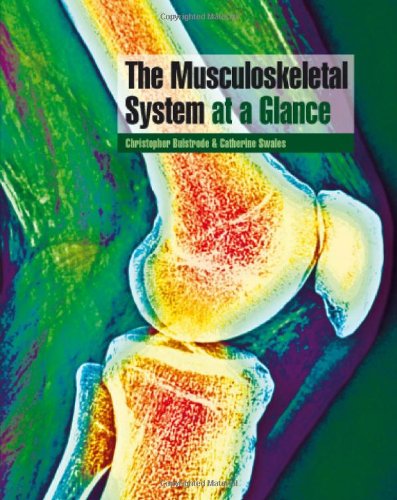 Amazon | The Musculoskeletal System at a Glance | Bulstrode ...