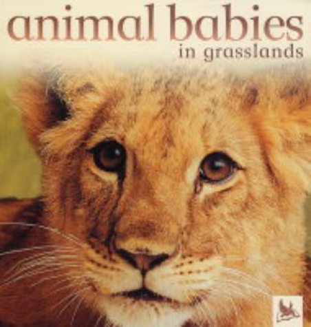 Animal Babies in Grasslands: Jennifer Schofield: 9780753409435: Amazon ...