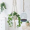 Amazon.com: YQQKIRA520 Connectable Plant Hanging Extenders,Durable Rope ...