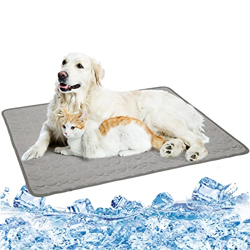 Outdoor Dog Mat – The 15 best products compared - Wild Explained