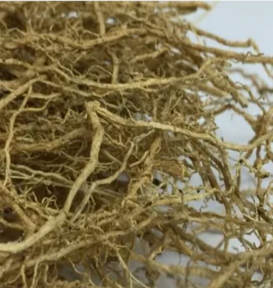 Sahadevi Roots/Sahadevi Mooligai Roots/Sahadevi stem Roots for Pooja ...