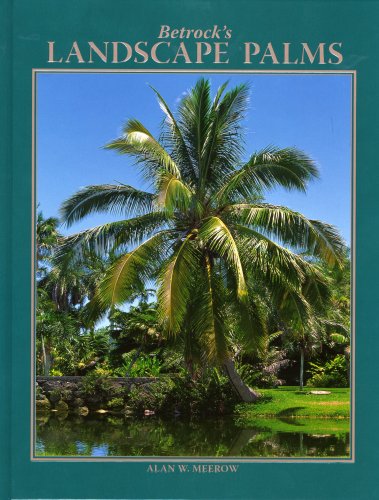 Betrock's Landscape Palms: Alan W. Meerow: 9780962976179: Amazon.com: Books