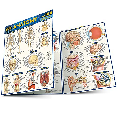 Snapklik.com : Anatomy Quizzer: A QuickStudy Laminated Reference Guide