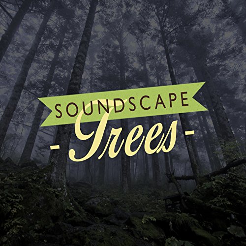 Amazon.com: Soundscape: Trees : Forest Soundscapes: Digital Music