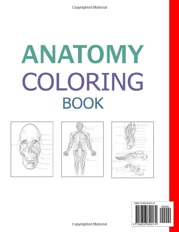 Snapklik.com : Anatomy And Physiology Coloring Book MerArt: Human ...