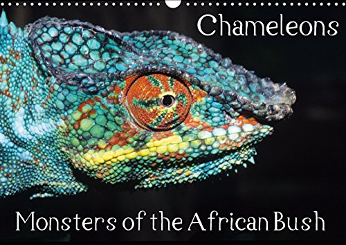 Buy Chameleons Monsters of the African Bush 2018: Striking Chameleon ...