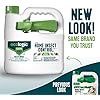 Amazon.com: Ecologic Home Insect Control, Kills Cockroaches, Ants ...
