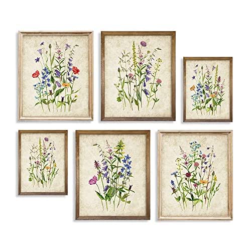 Amazon.com: Rustic Modern French Country Cottagecore Wall Art - Sage ...