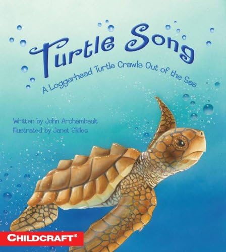 Amazon.com: Childcraft Turtle Song Story/Song CD : Everything Else