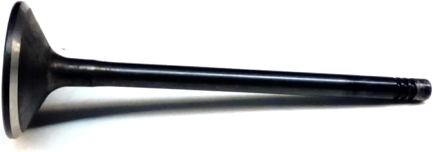 Amazon.com: Volvo 9454608, Engine Intake Valve : Automotive