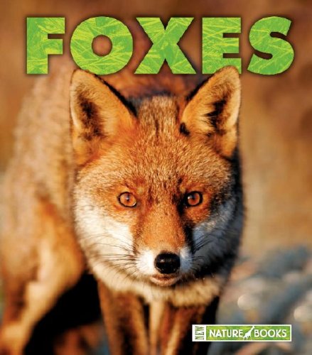 Foxes (New Naturebooks): McDonald, Mary Ann: 9781592968459: Amazon.com ...