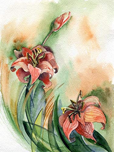 New Anjani Art Gallery Bloommed Flower Paintng Unframed Printed Canvas ...