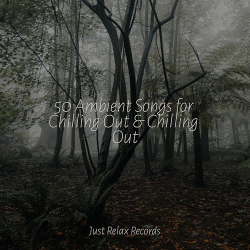 Play 50 Ambient Songs for Chilling Out & Chilling Out by Baby Lullaby ...
