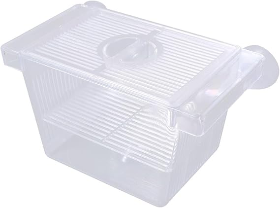 Amazon.com : Fish Breeding Box Acrylic Hatchery Incubator Tank with ...