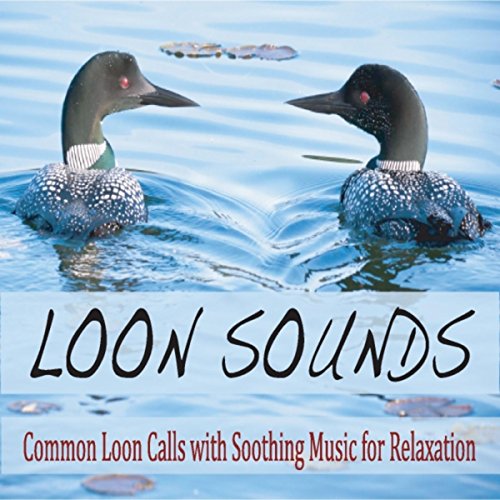 Loon Sounds: Common Loon Calls With Soothing Music for Relaxation ...