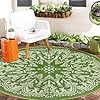 Amazon.com: Homcomoda Round Outdoor Patio Rugs 6Ft Waterproof Indoor ...