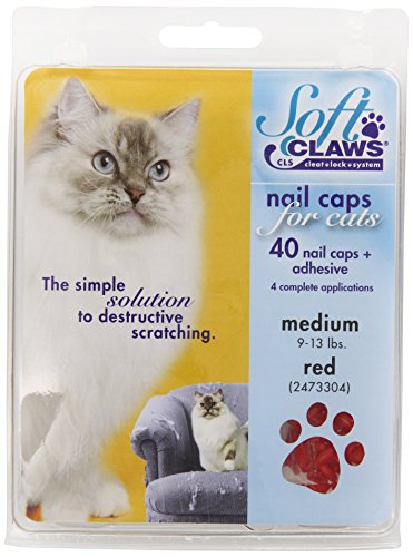 The 25 Best Cat Nail Caps - Cat Life Daily