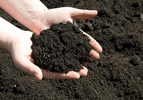 Stuti Pure Black Soil (Kali mitti) for Soft and Black Silky Hair ...