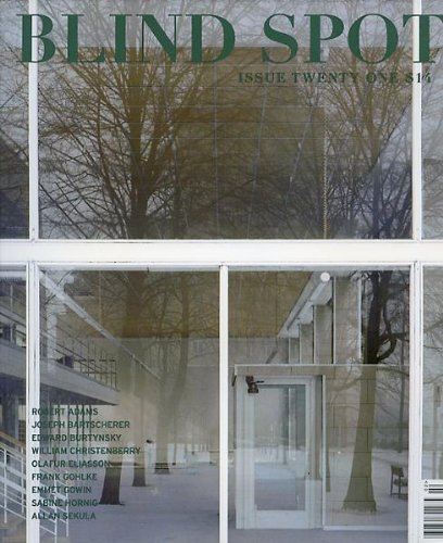 Blind Spot Issue Twenty-One: Kim Zorn Caputo, Publisher: Amazon.com: Books