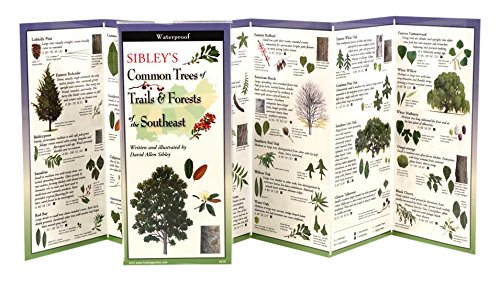 Amazon.com: Sibley's Trees of Trails and Forests of the Southeast ...