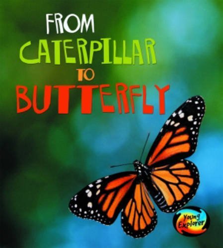 From Caterpillar to Butterfly (Young Explorer: How Living Things Grow ...