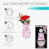 Amazon.com: MODGY Expandable Flower Vase Plastic Decorative Modern ...