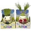 Amazon.com: Magic Egg Baby- These Adorable Eggs Are Housed on a Bed of ...