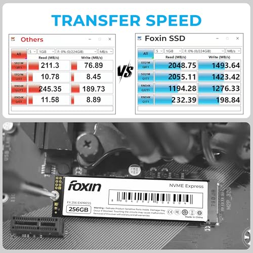 Foxin SSD 256 GB NVME | Internal Solid State Drive with Micron Chipset ...