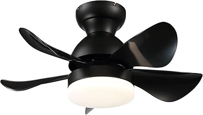 Small Ceiling Fans with Lights - 22" Modern Ceiling Fan Light with ...