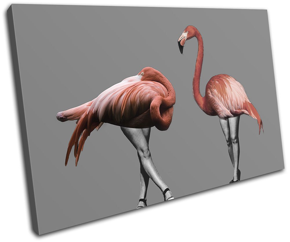 Flamingo Legs Texture