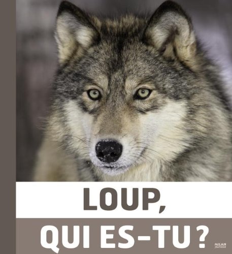 Amazon.com: Loup, qui es-tu ? (Albums 3 - 7 ans): 9782745948960 ...