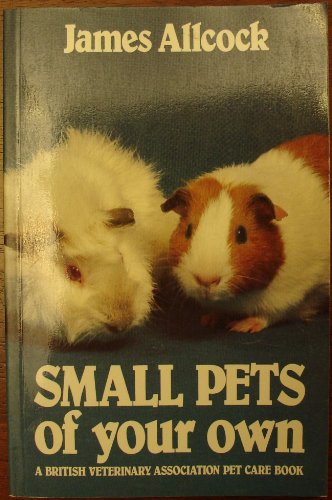 Small Pets of Your Own: Allcock, James: 9780859693660: Amazon.com: Books