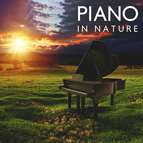 Play Piano in Nature: Meditation and Relaxation Pieces for Spa, Study ...