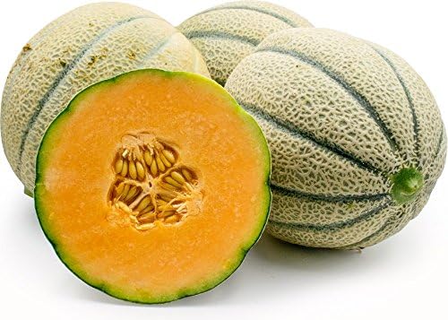 Cantaloupe Charente F1 Frutas raras de melón dulce sin OMG para plantar ...