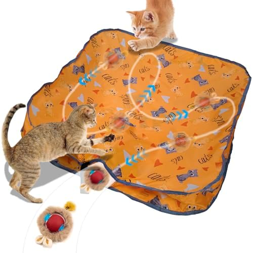 Amazon.com: ZNZ Interactive Cat Toys for Indoor Cats, Motion Activate ...