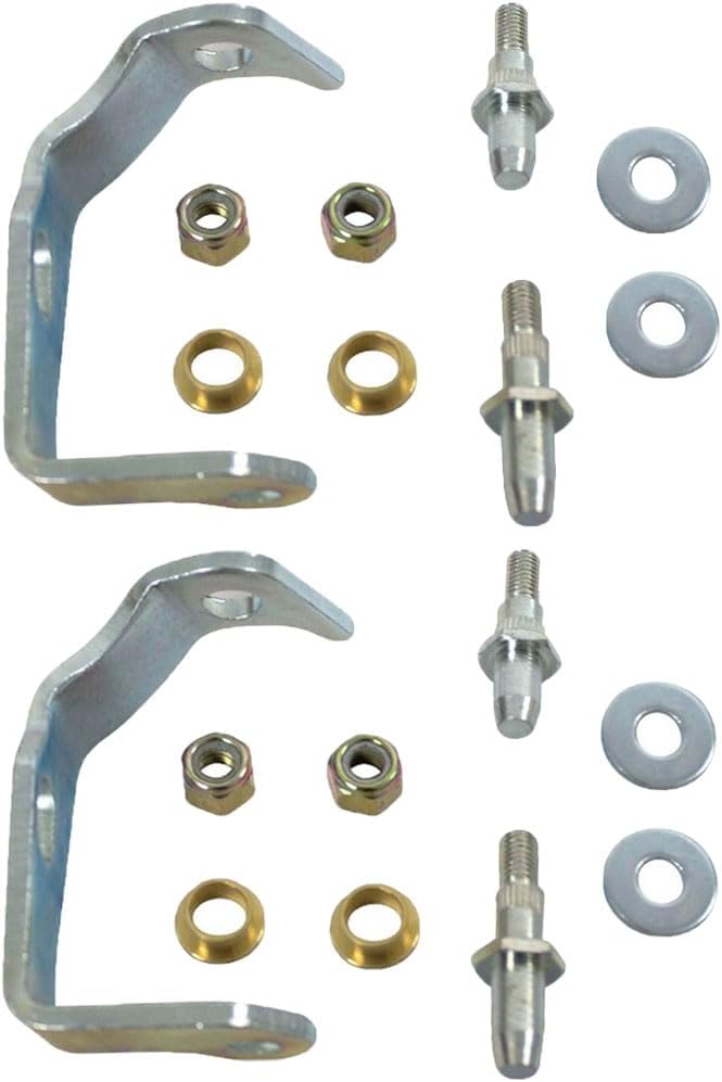 IBESTWOLF 38456 Pair Door Hinge Pin and Bushing Kit, Driver Side, Front ...